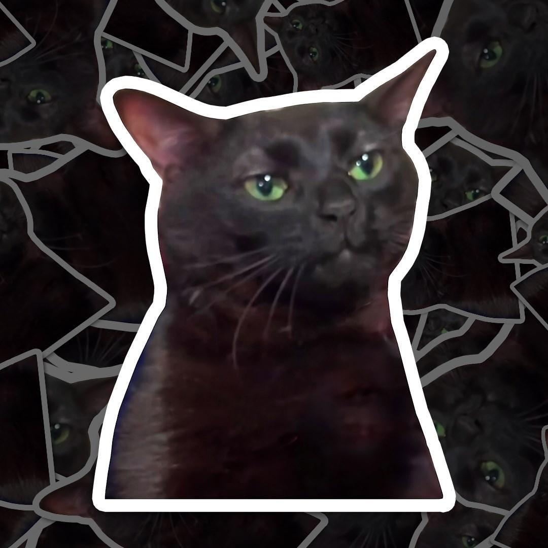 Cat Zoning Out Meme Sticker, Cat Sticker Meme Vinyl, Meme Decal, for ...