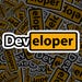 Developer Sticker, IT Sticker, for Laptop Car, Book, Water Bottle ...