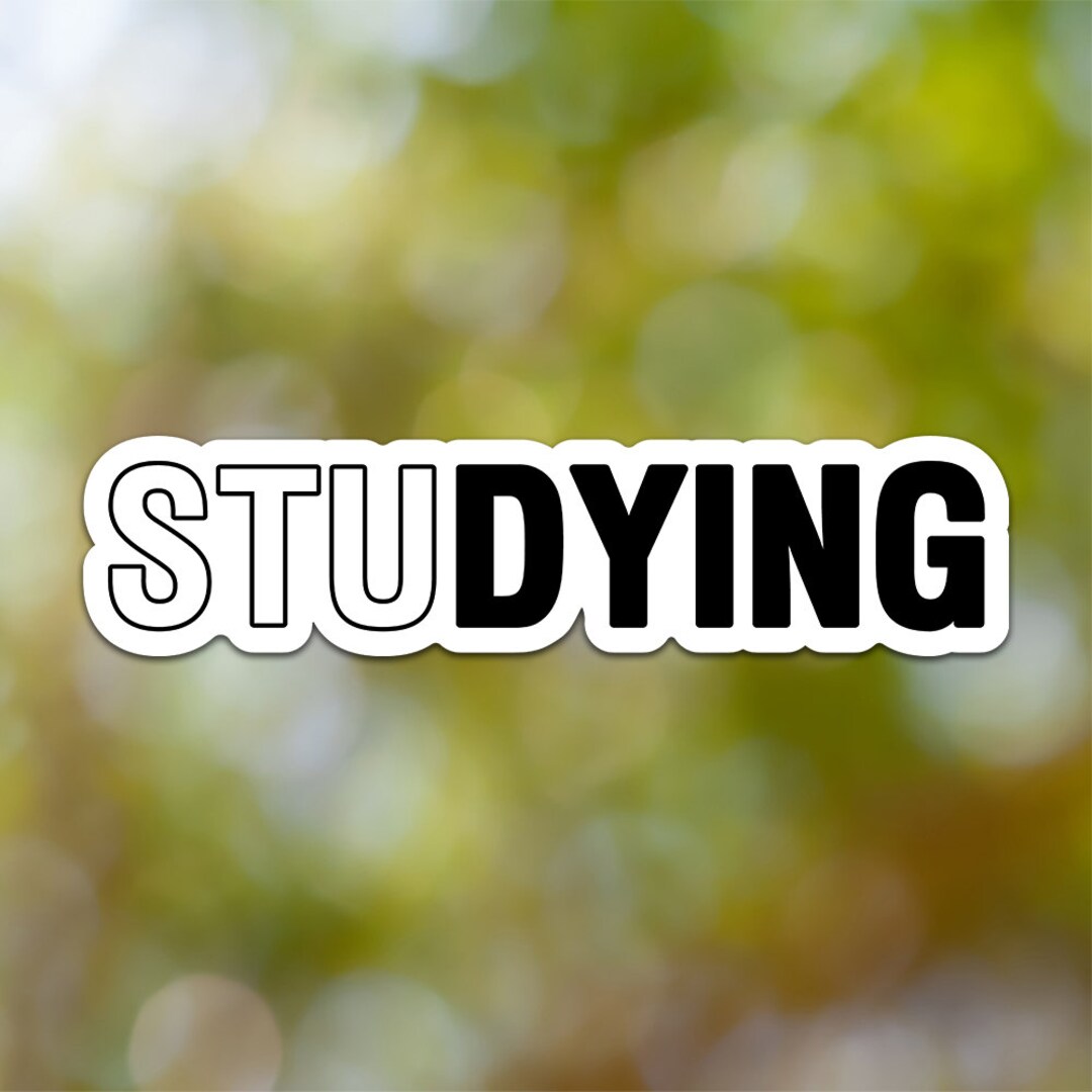 Studying Meme Sticker, Meme Vinyl, Meme Decal, for Laptop Car, Book ...