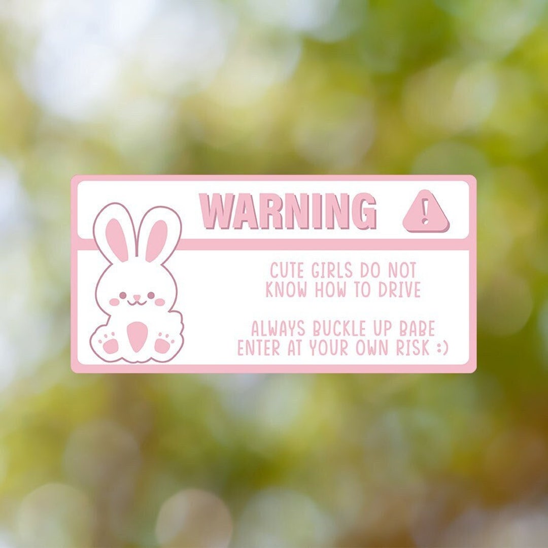 Warning Sign Cute Girl Driver Meme Sticker, Vinyl Decal, for Laptop Car ...