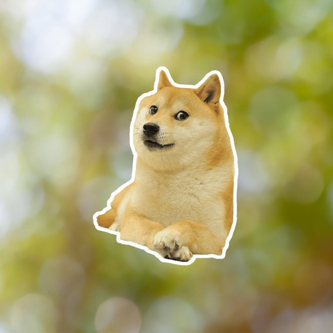 Doge Meme Sticker, Doggo Meme Sticker, Vinyl, Decal, for Laptop Car ...