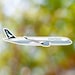Airbus A350 Sticker, Cathay Pacific Airplane Sticker Waterproof for ...