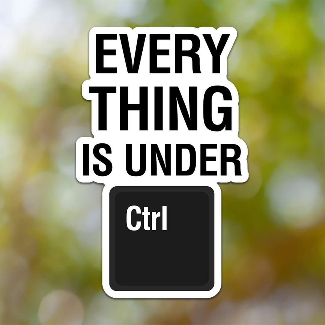 Everything is Under CTRL Meme Sticker, Meme Vinyl, Meme Decal, for ...