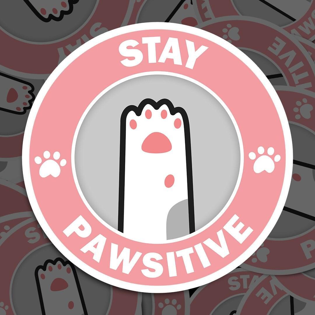 Stay Pawsitive Meme Sticker, Cat Sticker Waterproof, Animal Sticker ...