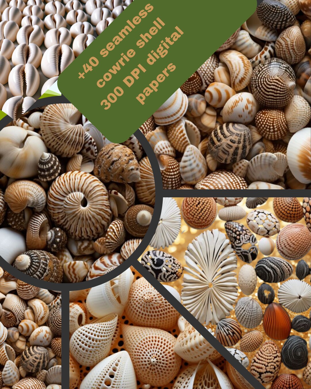 Embossed Sea Cowrie Shell Designs Instant Download Printable Digital ...