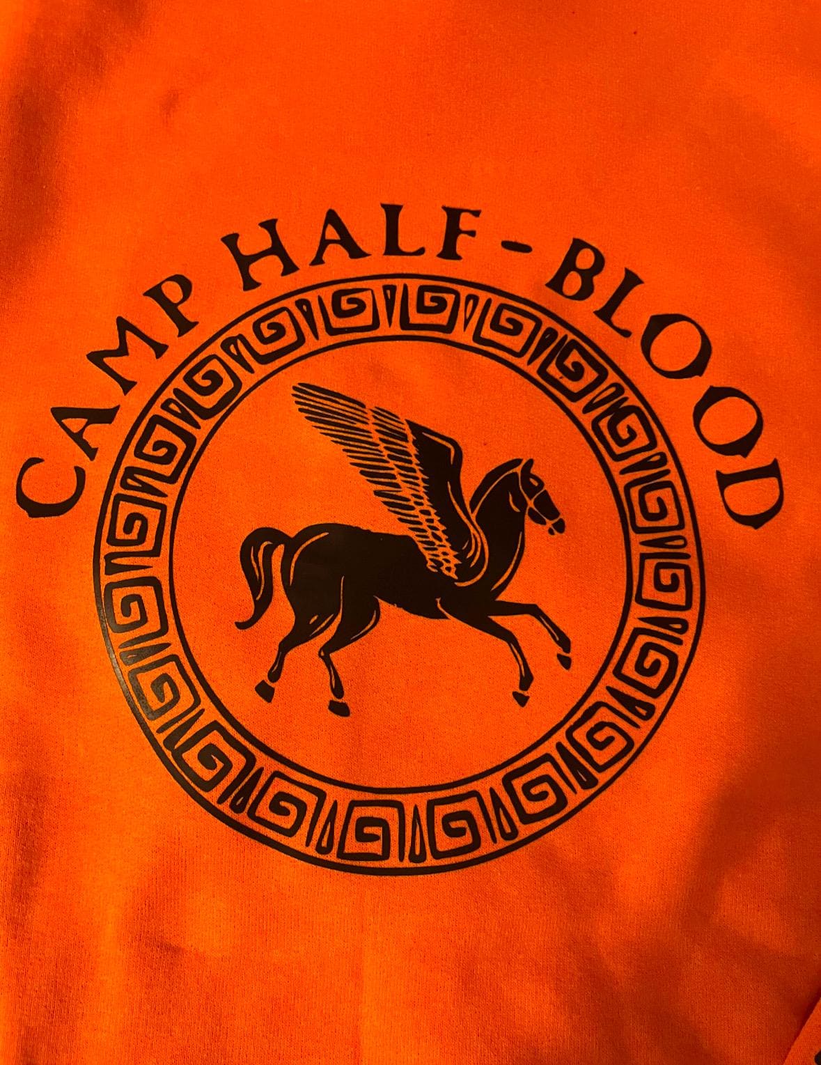 Percy Jackson Camp Half Blood Svg File Digital Download - Etsy