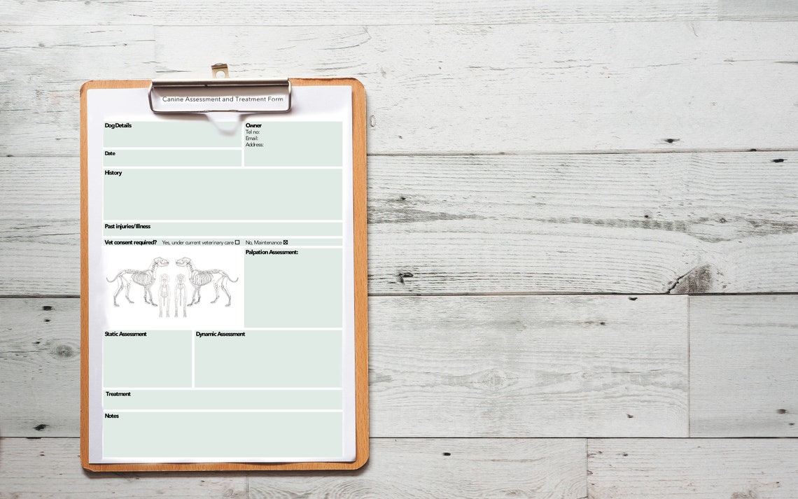 Canine Body Chart - Etsy