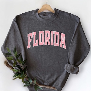 Florida Sweatshirt, Florida Pink Print Hoodie, Cute Florida Fan Sweater ...