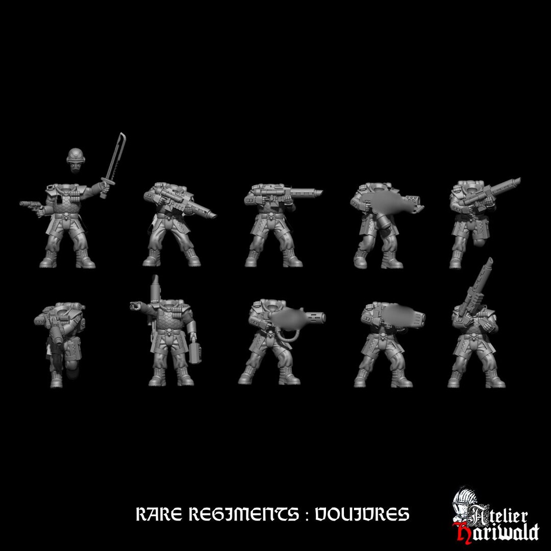 Wargame Grimdark - Rare Guard Regiments - Etsy