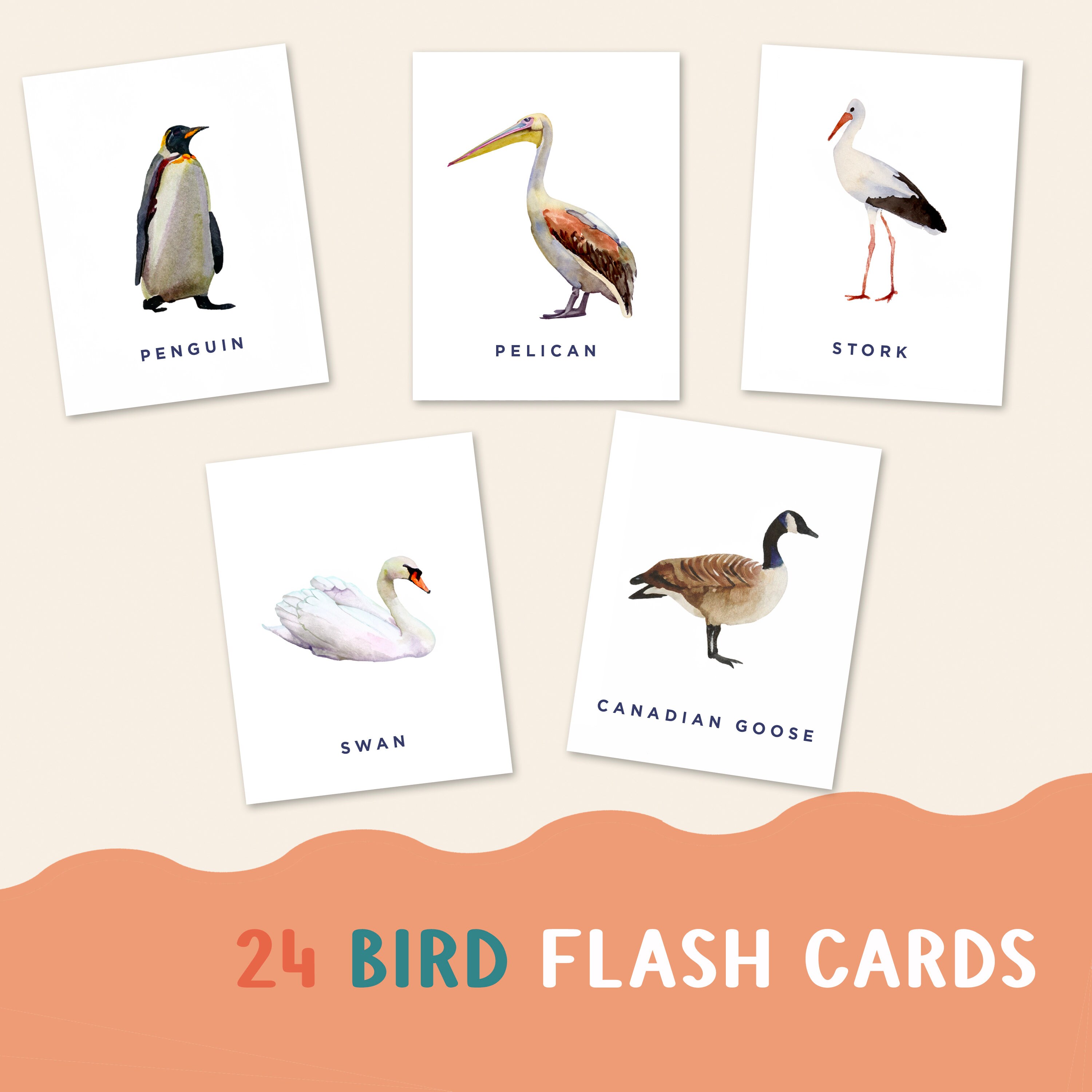 PDF Watercolor Bird Flashcards for Kids | Educational Nature Learning ...