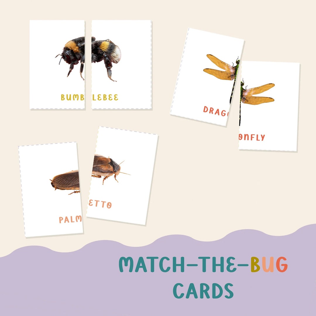 PDF Insect Matching Cards | Montessori Materials Printable | Toddler ...