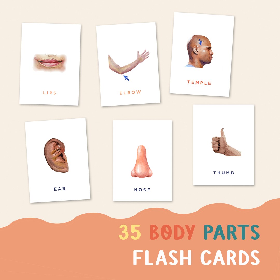 35 Body Parts Cards | Pre-school Cards, Watercolor Body Part Flashcards ...