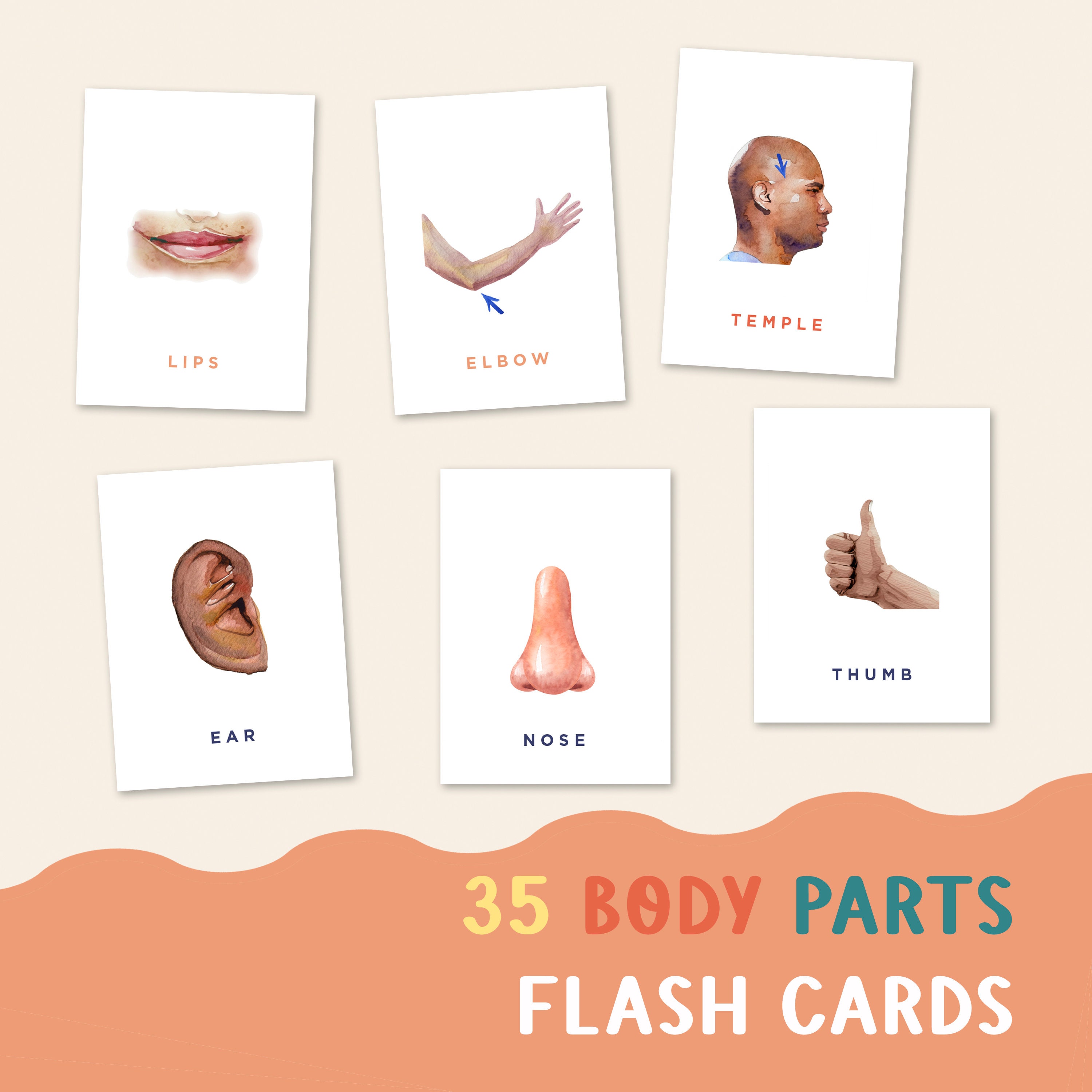 35 Body Parts Cards | Pre-school Cards, Watercolor Body Part Flashcards ...