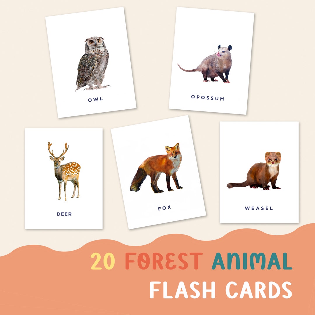 PDF Forest Animal Flashcards for Kids - Educational Woodland Learning ...