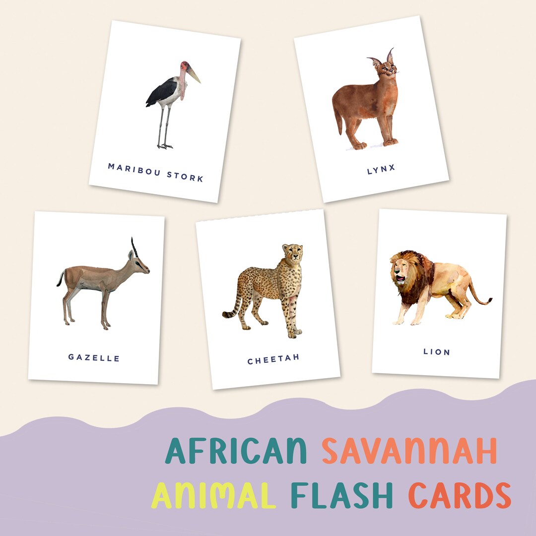 African Savannah Animal Flashcards for Kids - Wildlife Learning ...