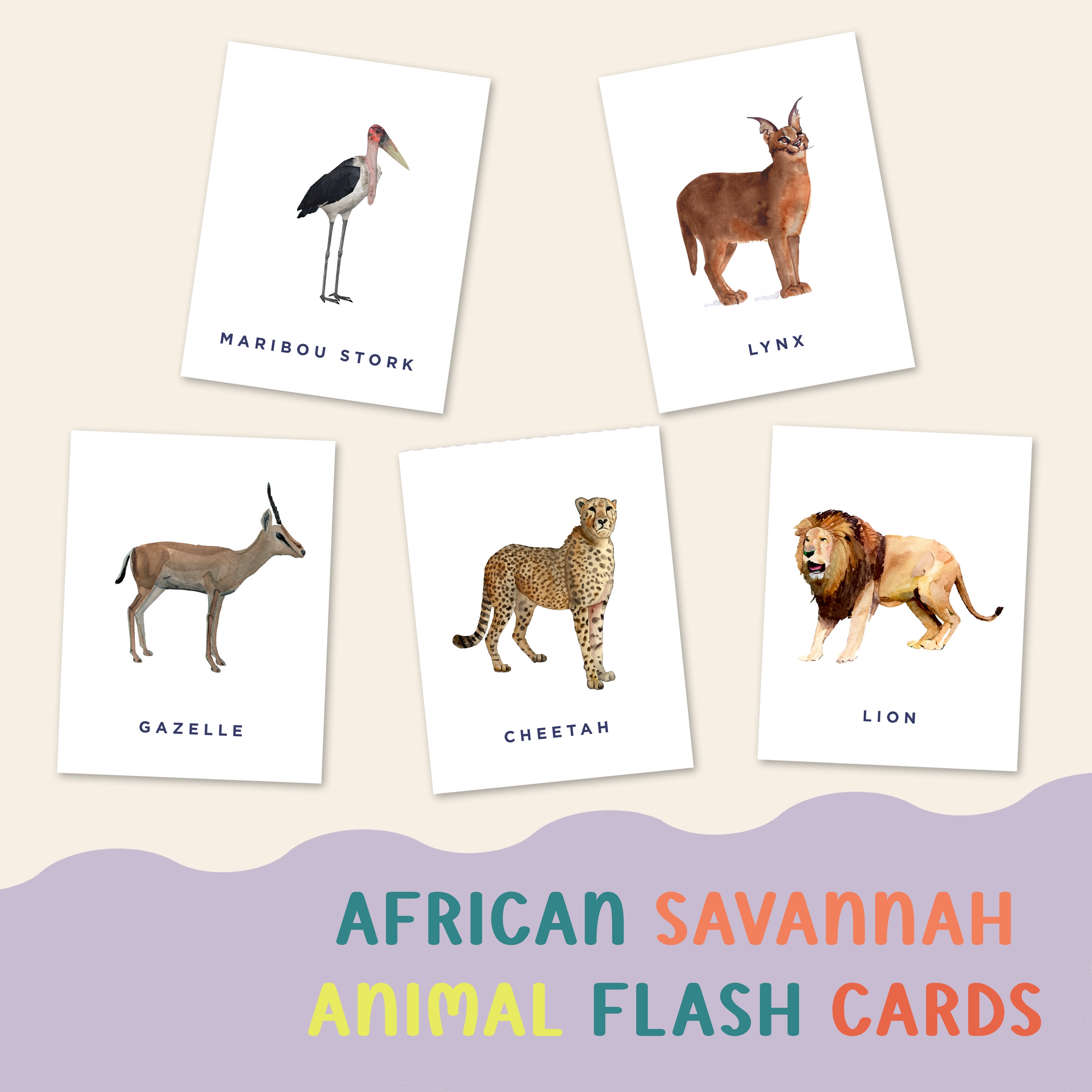 African Savannah Animal Flashcards for Kids - Wildlife Learning ...