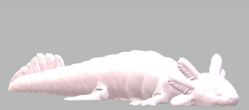 Axolotl Stl 3D Model for Print - Etsy
