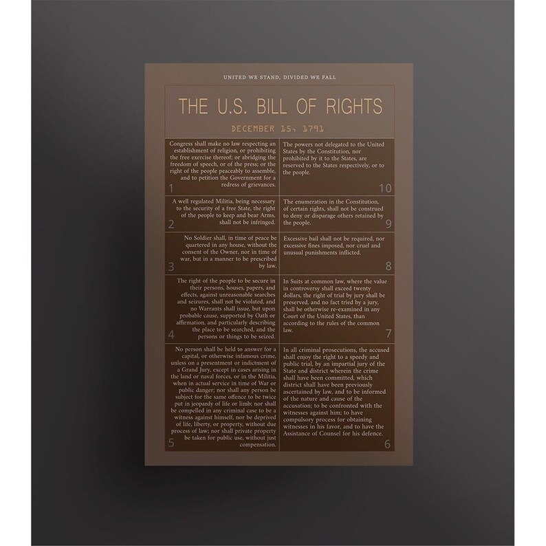 USA Bill of Rights Amendments Constitution Posters 12x18 - Etsy
