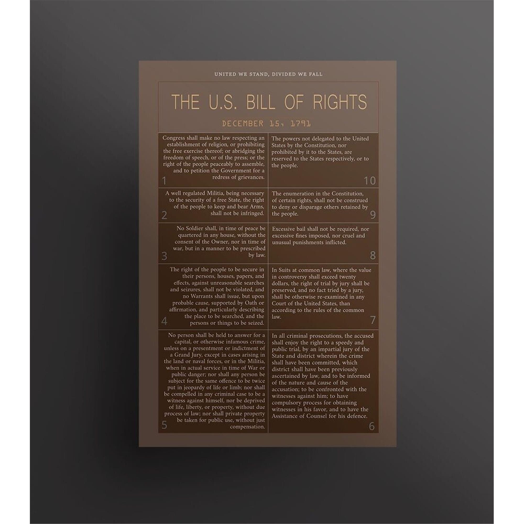 USA Bill of Rights Amendments Constitution Posters 12x18 - Etsy