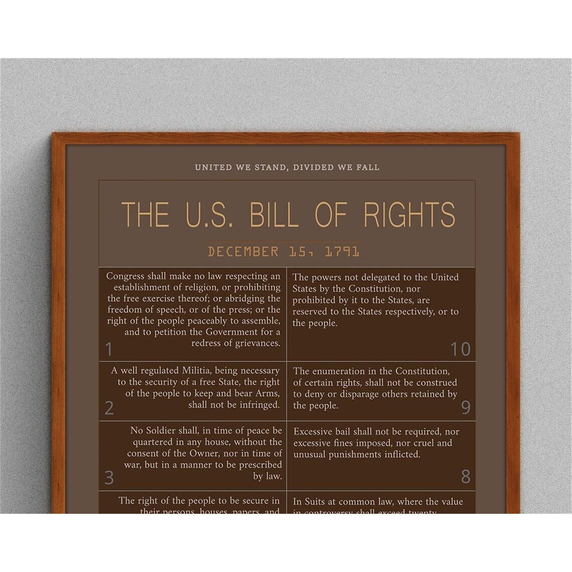 USA Bill of Rights Amendments Constitution Posters 12x18 - Etsy
