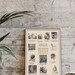 12 More Rules for Life by Jordan Peterson Matte Vertical Posters - Etsy