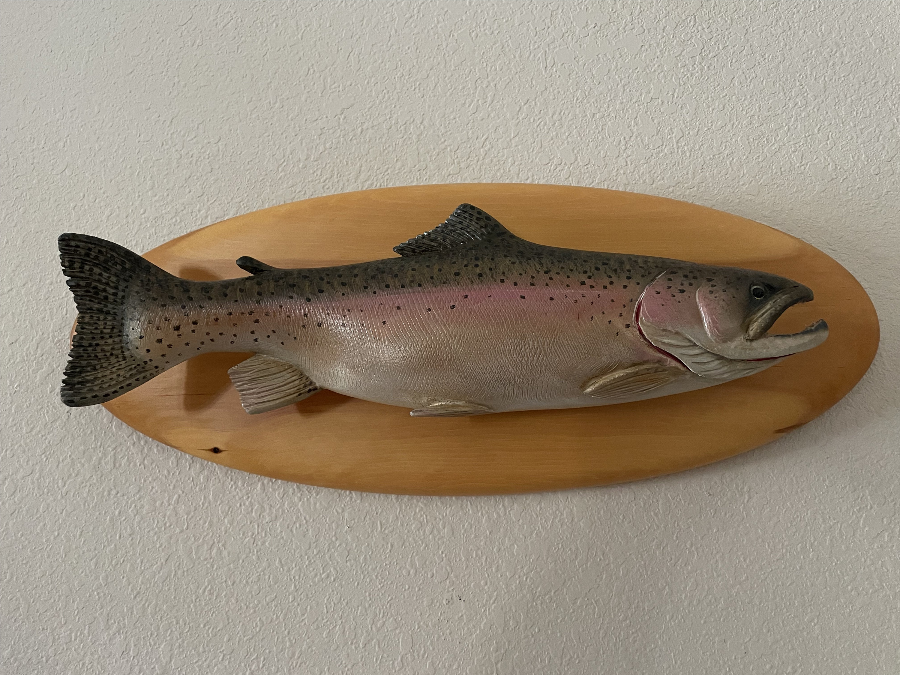 Trout Mount Gila Trout Taxidermy 17 Fish - Etsy