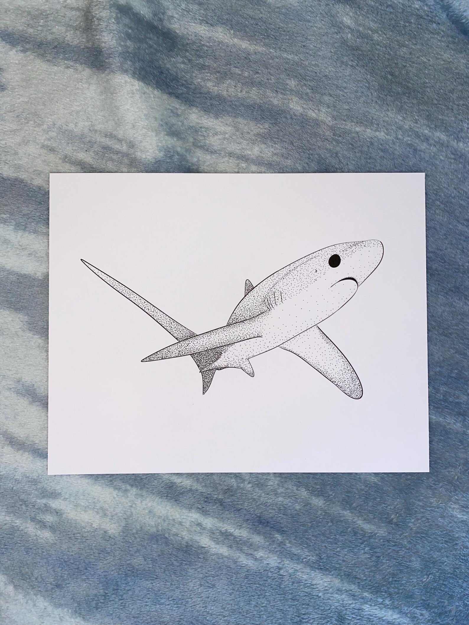 Thresher Shark Ocean Print - Etsy