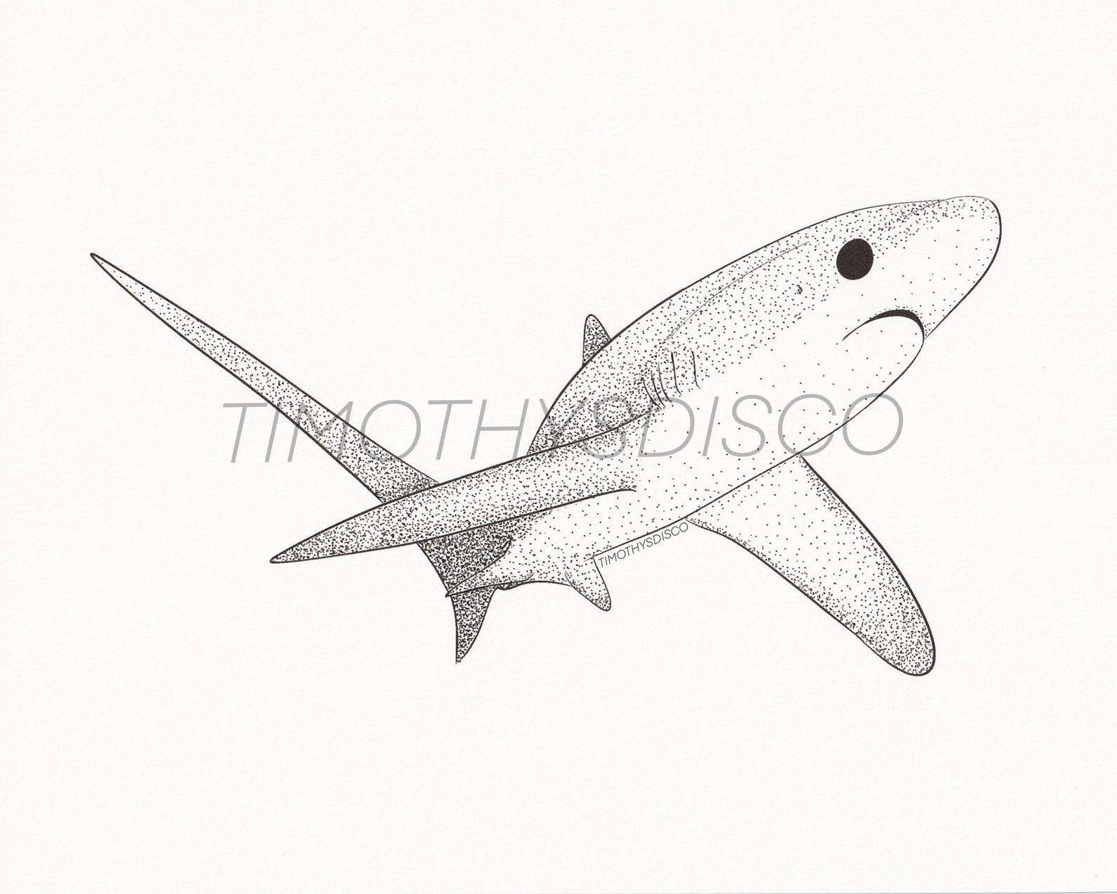 Thresher Shark Ocean Print - Etsy
