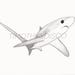 Thresher Shark Ocean Print - Etsy