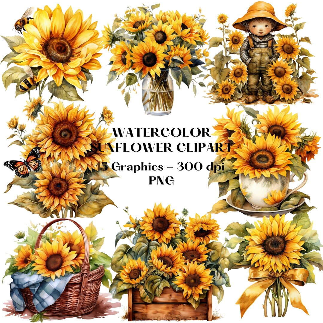 Watercolor Sunflower Clipart, Sunflower PNG, Rustic Clipart, PNG ...