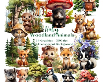 Baby Woodland Animals Clipart Bundle, Watercolor PNG Bundle, Nursery ...