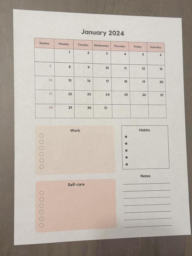 3 in 1 Ultimate Planner for 2024 Weekly Planner, Monthly Budget Planner ...