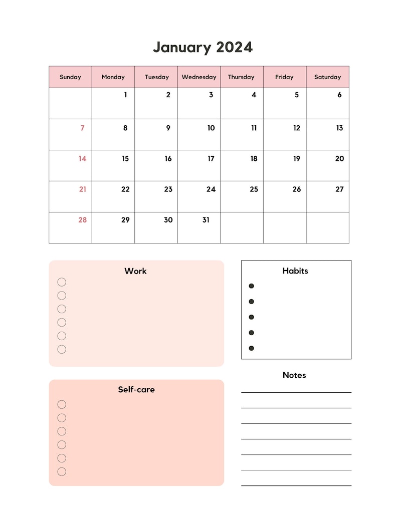 3 in 1 Ultimate Planner for 2024 Weekly Planner, Monthly Budget Planner ...