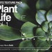 Plant Life Vol. 1 Photo Texture Pack - Etsy