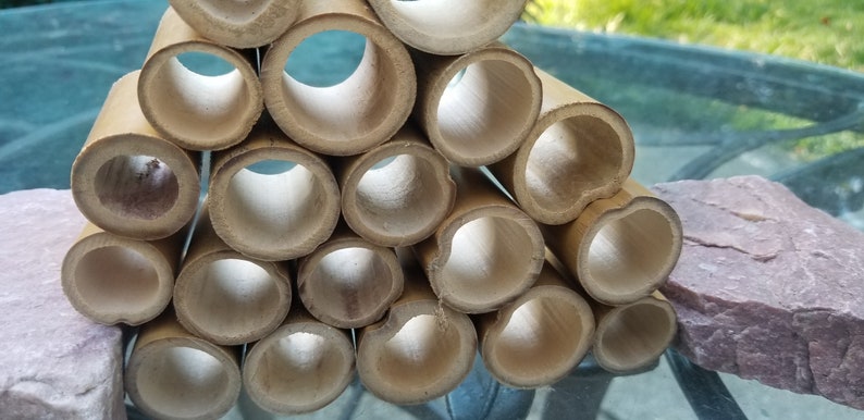 20 Bamboo Pieces for Crafting - Etsy