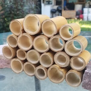 20 Bamboo Pieces for Crafting - Etsy