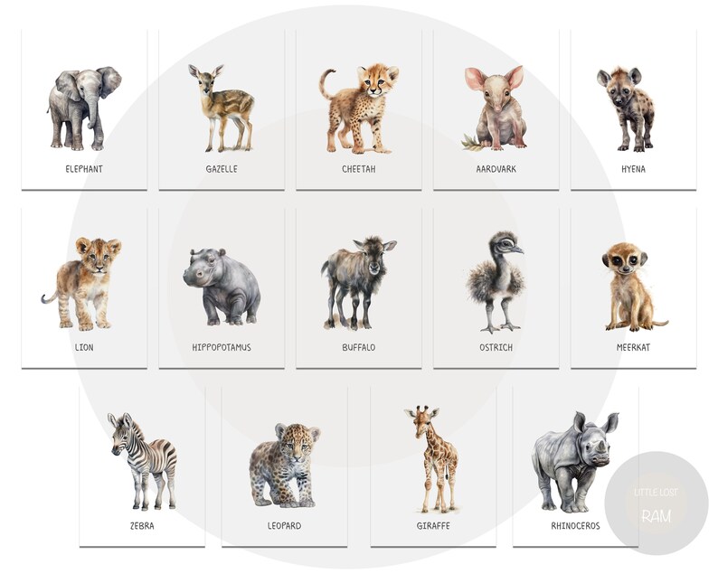 14 Printable Flashcard Baby Animal ,digital Download,kids Educational ...