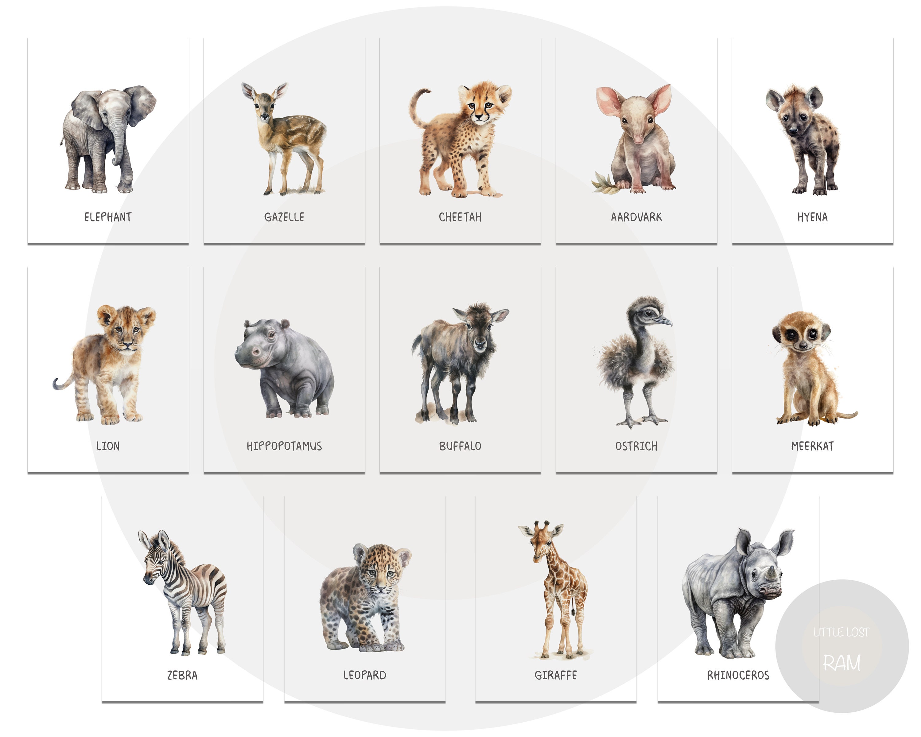14 Printable Flashcard Baby Animal ,digital Download,kids Educational ...