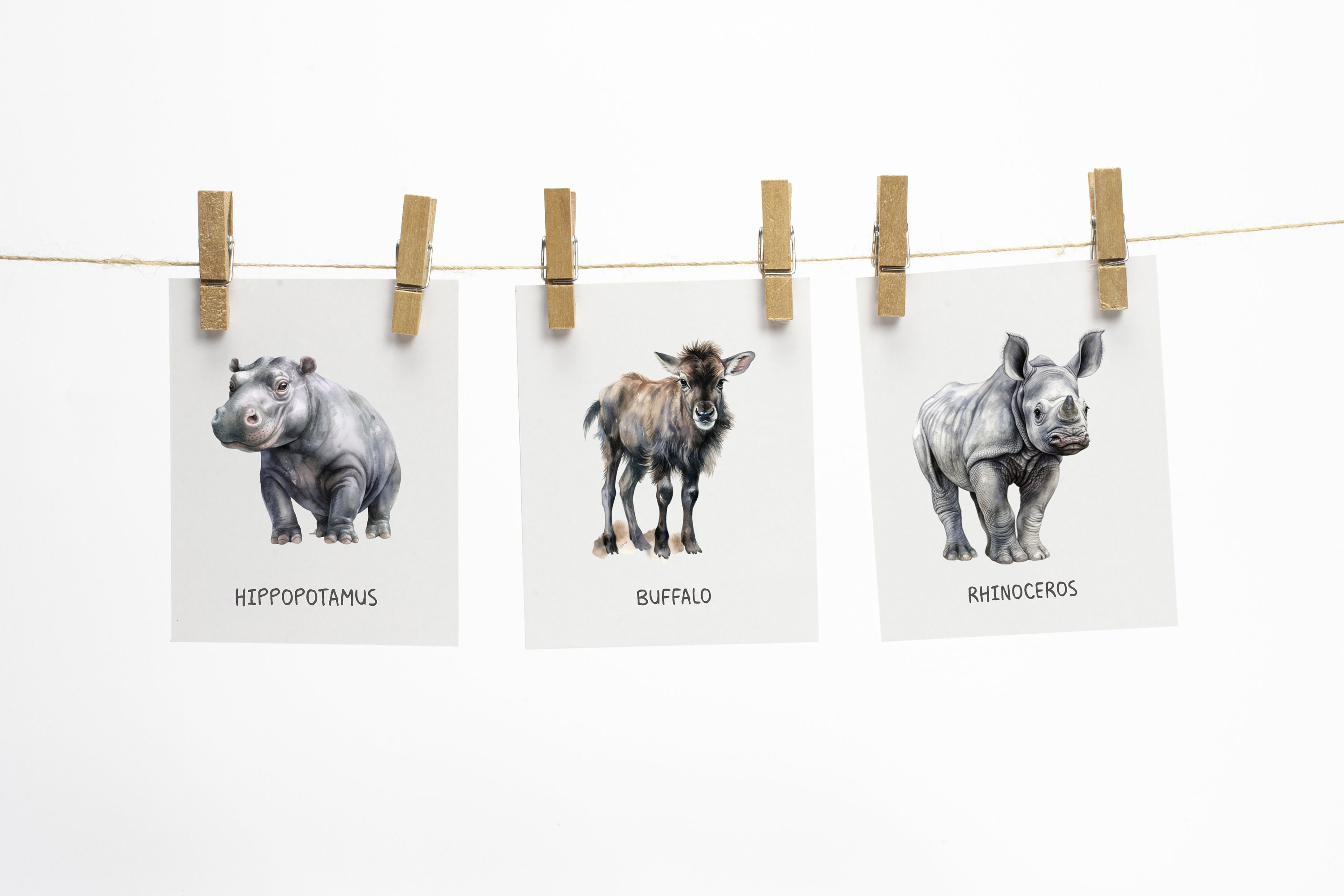 14 Printable Flashcard Baby Animal ,digital Download,kids Educational ...