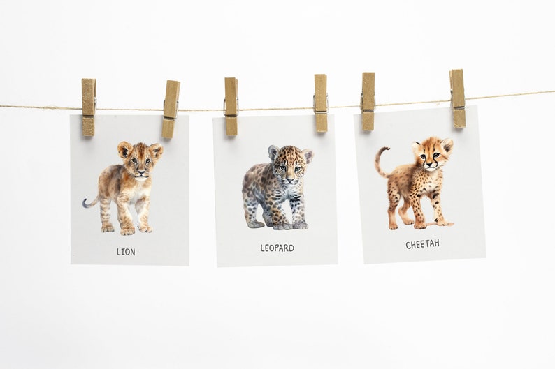 14 Printable Flashcard Baby Animal ,digital Download,kids Educational ...