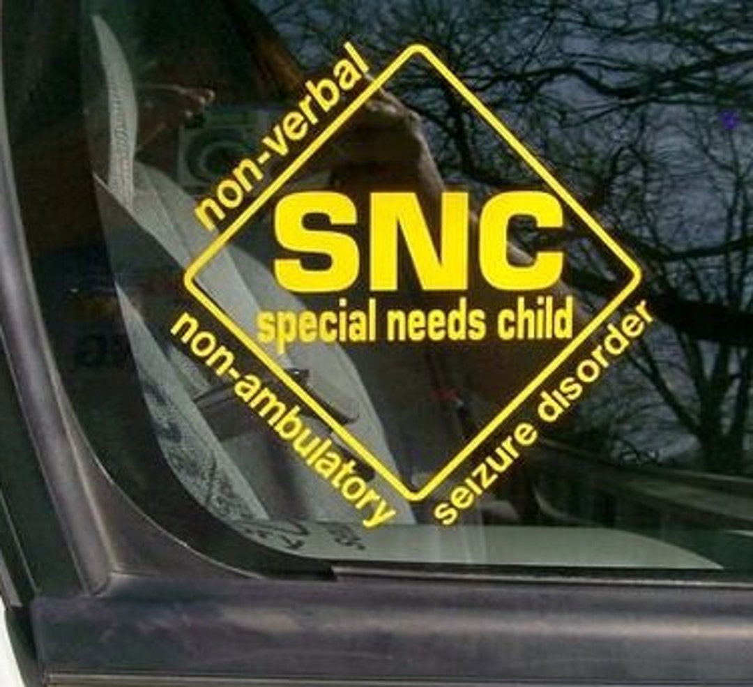 2 Qty Pack Custom - Special Needs Child Vinyl Window Decal Sticker ...