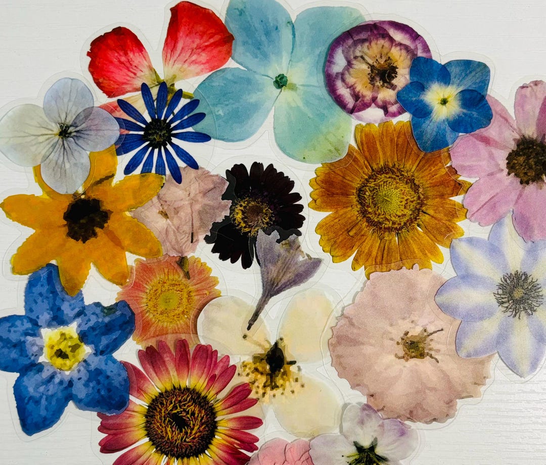 20 Pack of Transparent Flower Themed Wildflower Stickers - Etsy