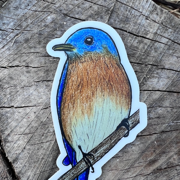 Bluebird Stickers - Etsy