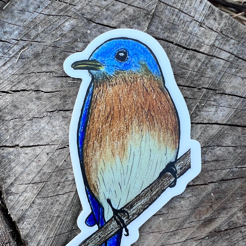 Bluebird Stickers - Etsy