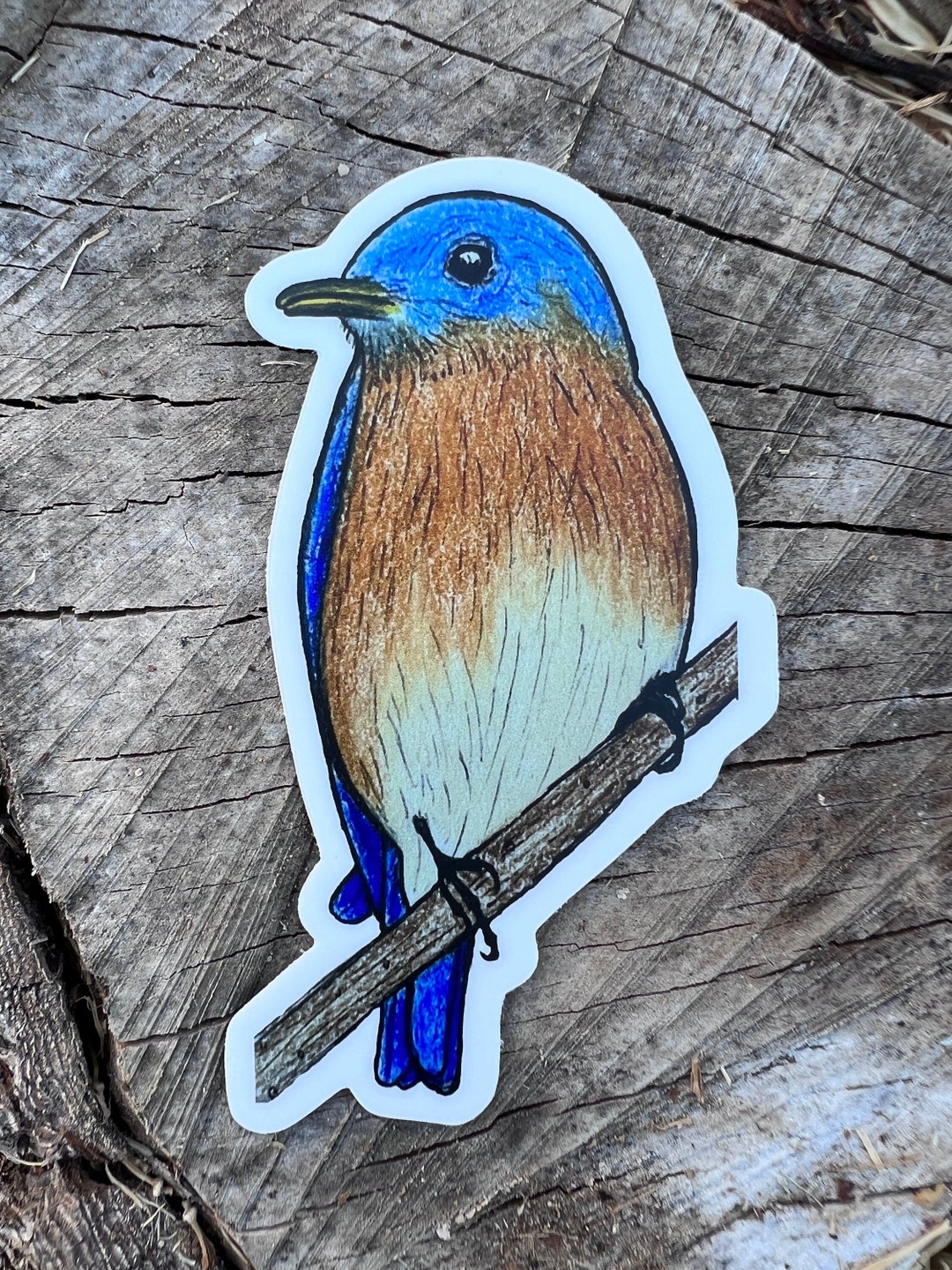 Eastern Bluebird Sticker | Weatherproof Vinyl Decal - Etsy