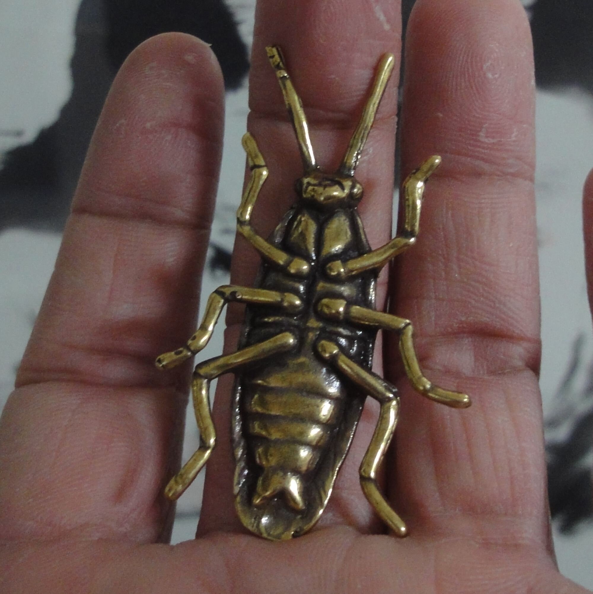 Vintage Style Solid Brass Copper Cockroach Animal Statue - Etsy
