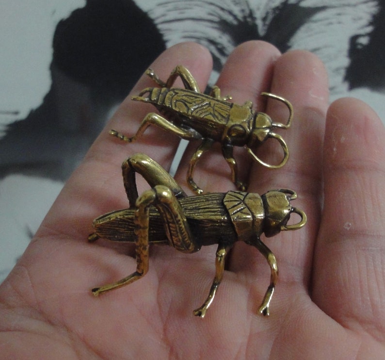 Pair of Vintage Style Solid Brass Copper Cricket Insect - Etsy