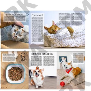 ASSORTED PETS - A Set of 4 Miniature Printables Pet Magazines - Etsy