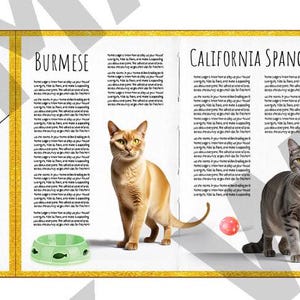 CAT ENCYCLOPEDIA - A Printable Miniature Illustrated Book With Sleeve ...
