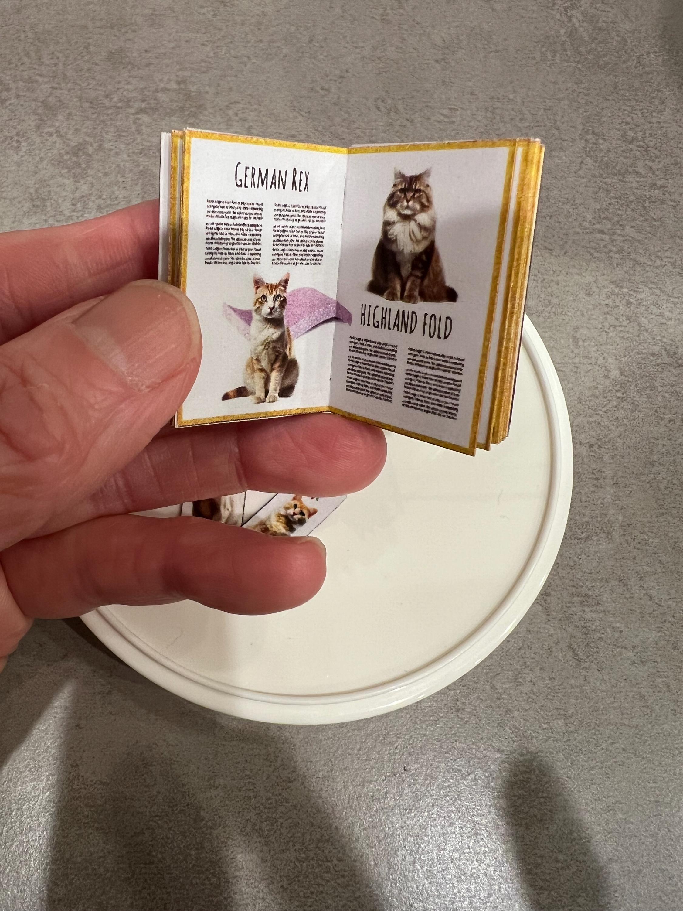 CAT ENCYCLOPEDIA - A Printable Miniature Illustrated Book With Sleeve ...